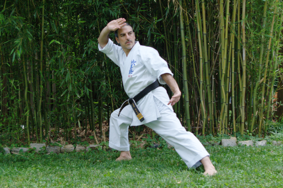 Catonsville Seido Karate - Buying And Caring For A Karate Gi